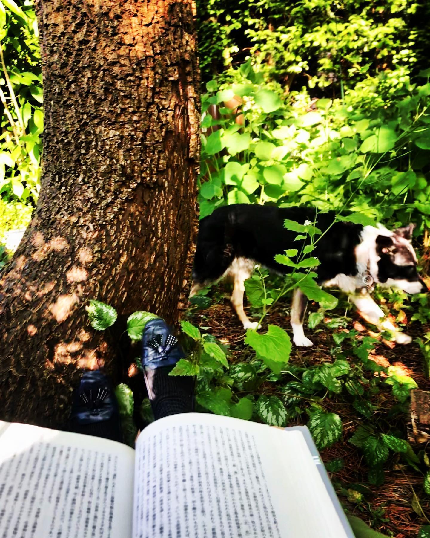 Quarantine Day 6 – MARIKO NAITO ｜ 内藤まりこ