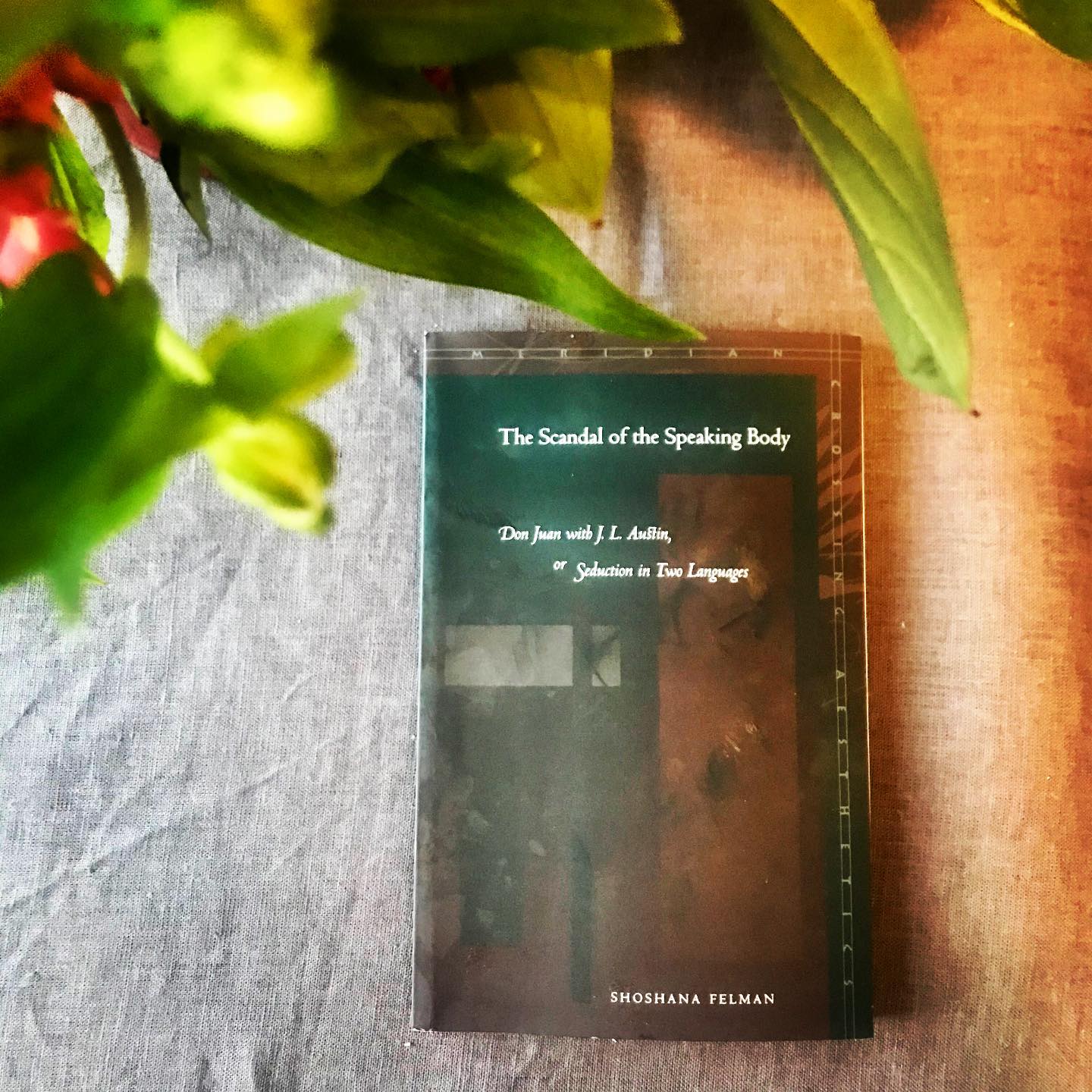 Shoshana Felman’s “The Scandal of the Speaking Body” – MARIKO NAITO ｜ 内藤まりこ